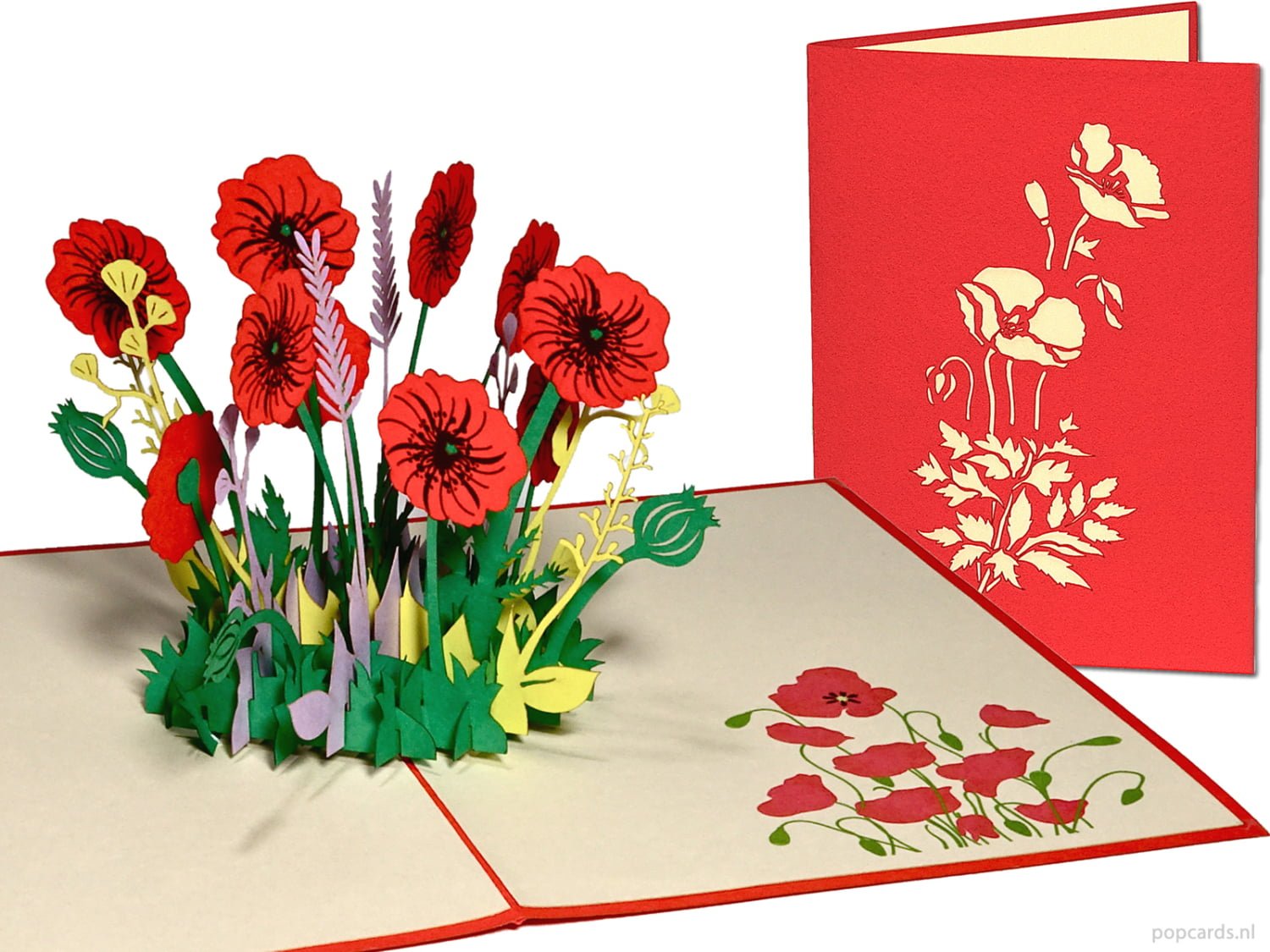 Popcards Pop-up Cards | Most Beautiful Greeting Cards & 3D Cards