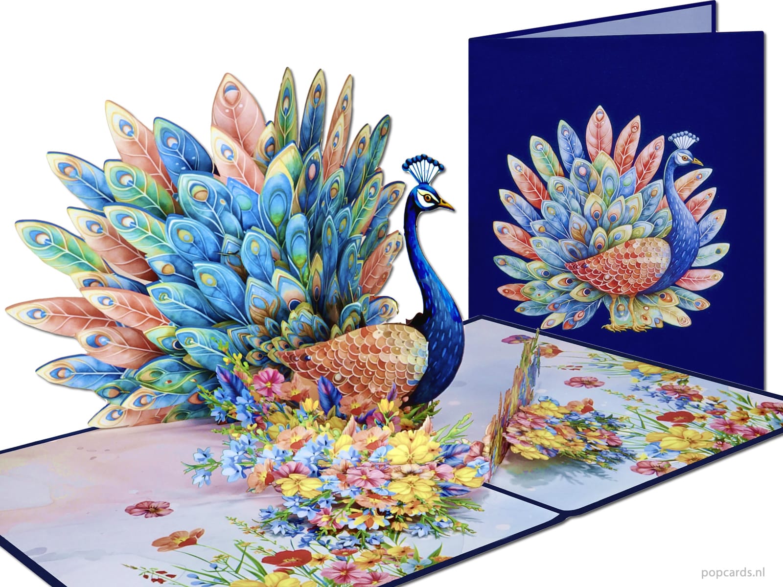 As Proud as a Peacock - Gorgeous Colorful Pop-up Card